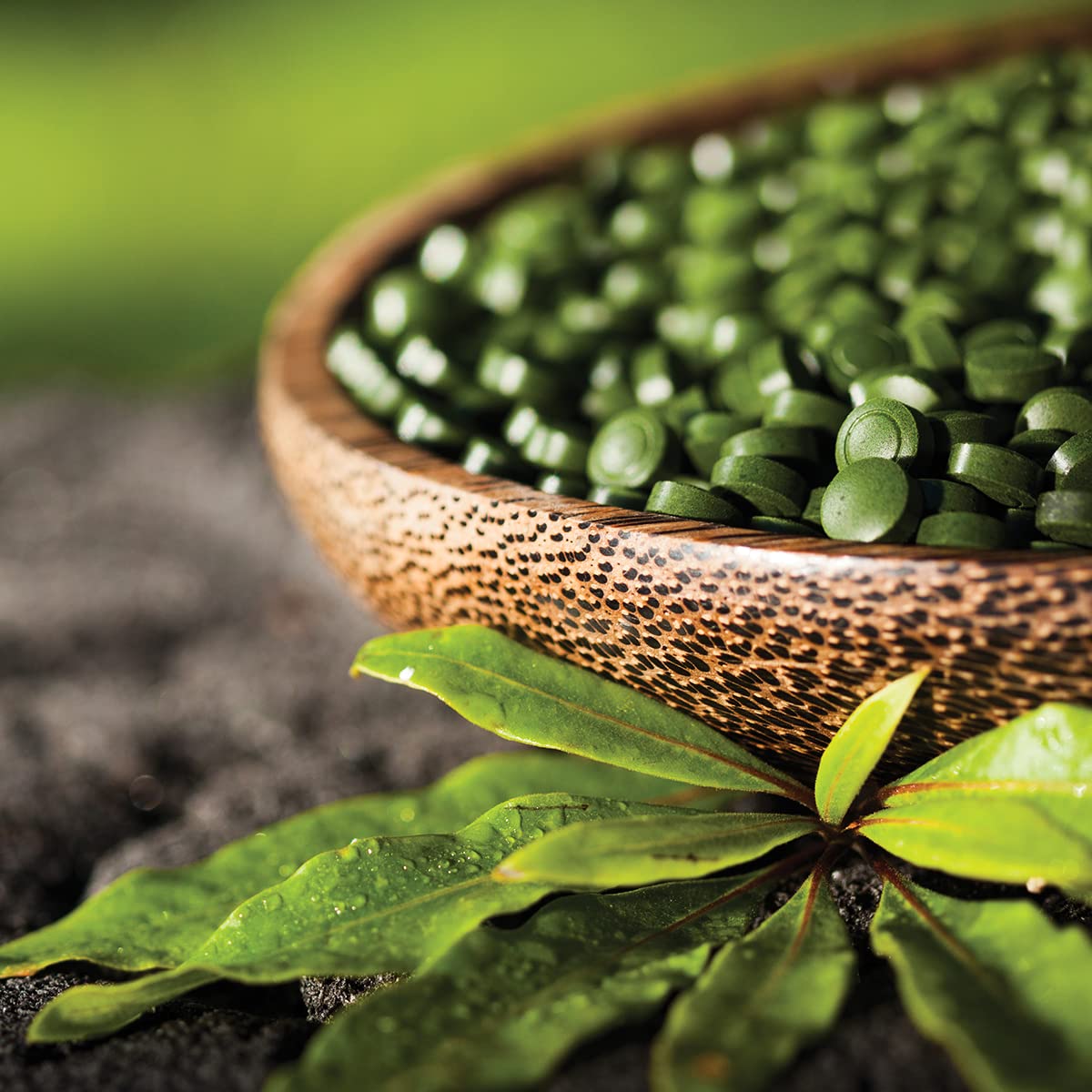 Sun Chlorella health benefits
