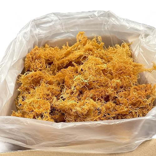 sun dried sea moss benefits