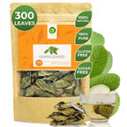 SUNBELEAF guava leaf tea benefits