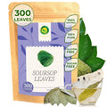 SUNBELEAF soursop leaf tea benefits
