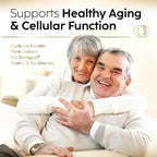 Sunergetic coq10 ubiquinol benefits