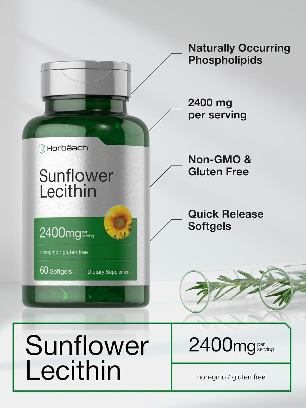 sunflower lecithin for brain support