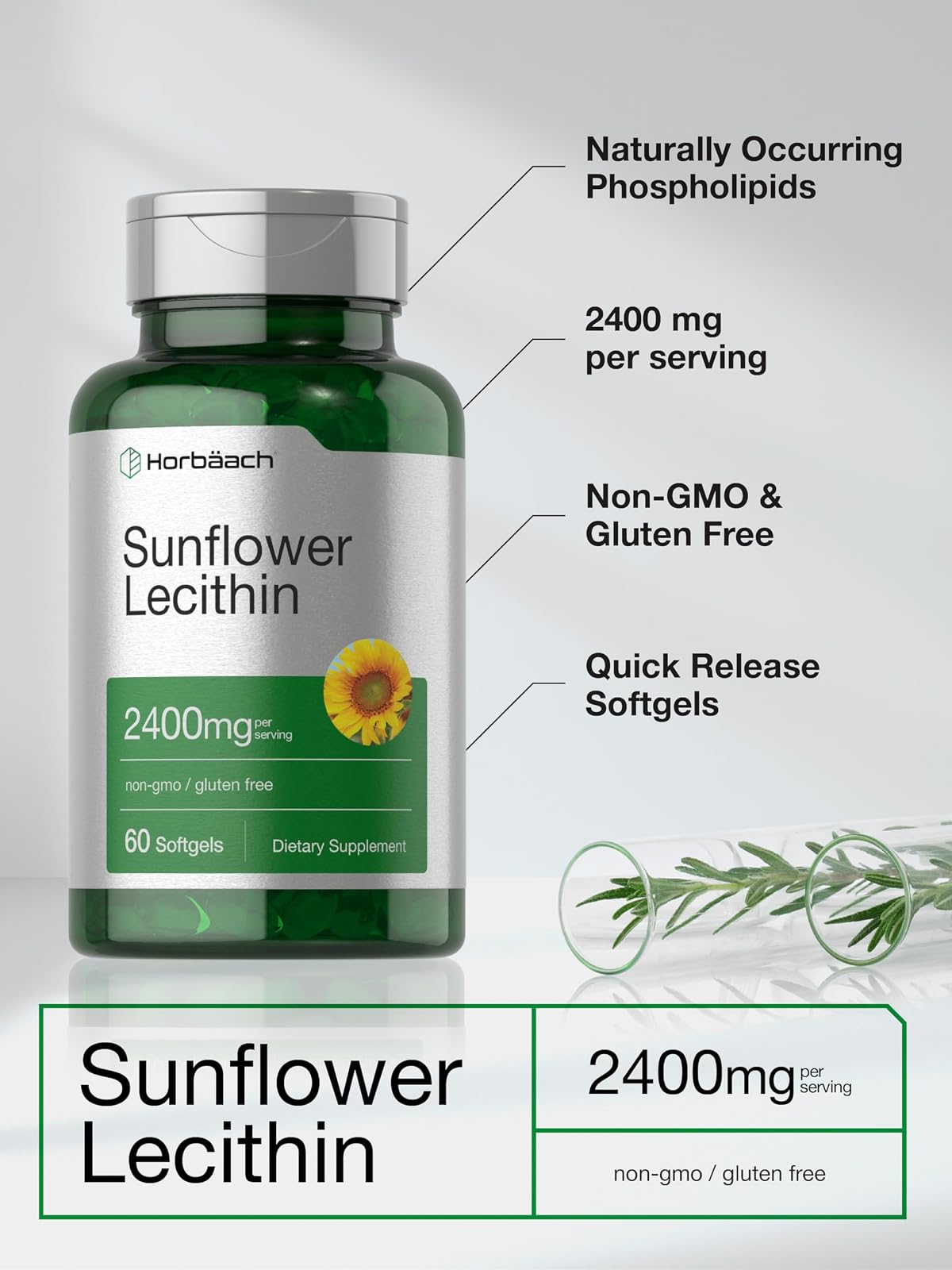 sunflower lecithin for brain support