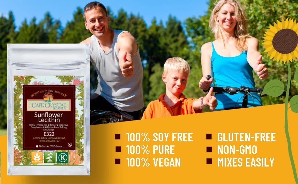 Sunflower lecithin powder for smoothies