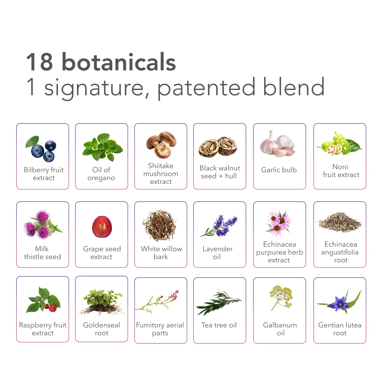 sunflower phospholipids for better digestion