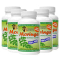 Sunshine Naturals moringa capsules for energy