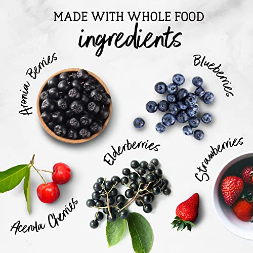 super berry elderberry powder benefits