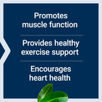 super carnosine for energy support