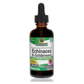 super concentrated echinacea extract