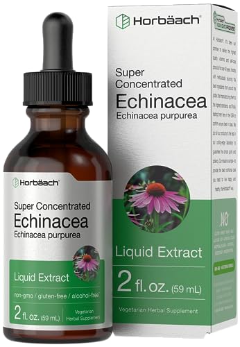 super concentrated echinacea tincture benefits