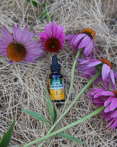 super echinacea for holistic wellness