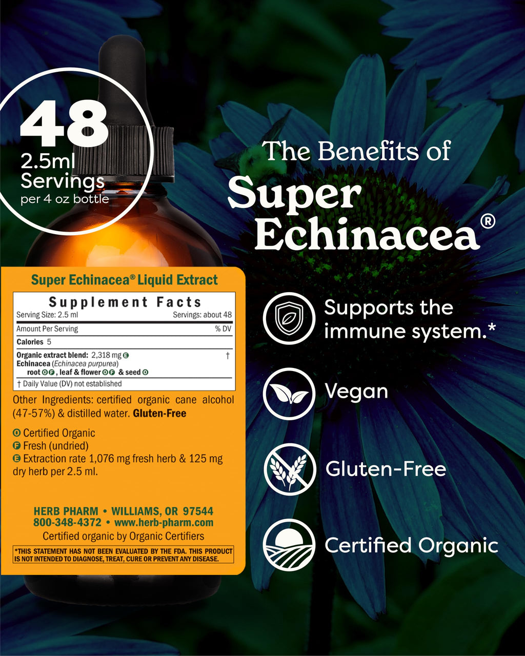 Super echinacea for seasonal support