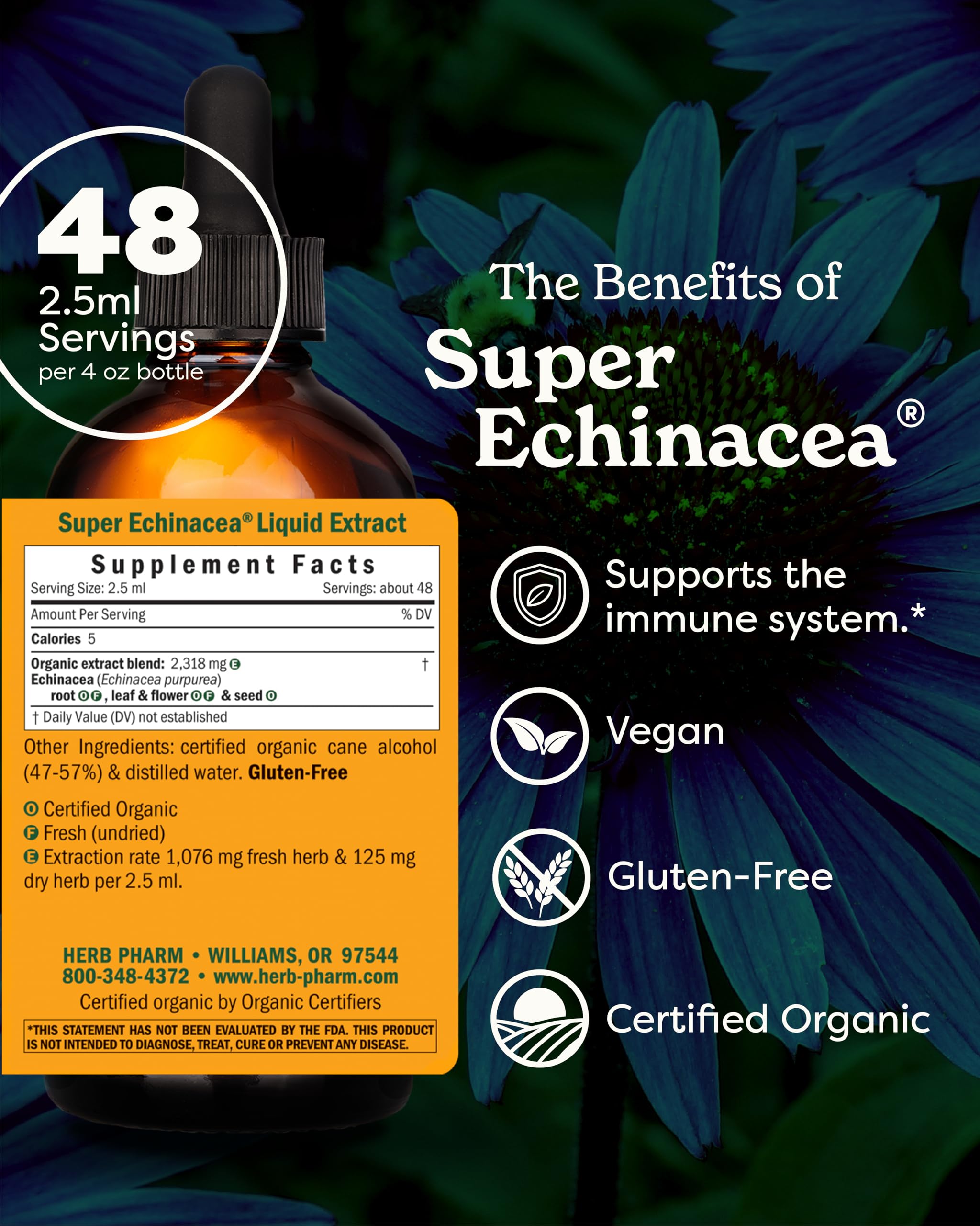 Super echinacea for seasonal support