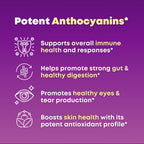 super maqui berry health benefits