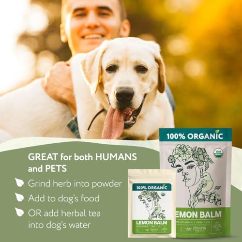 super value pack herbal infusion
