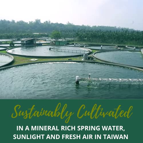 superfood algae chlorella spirulina
