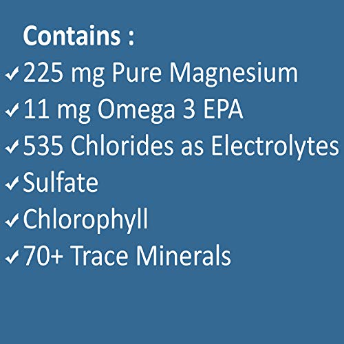 superfood blend for daily nutrition