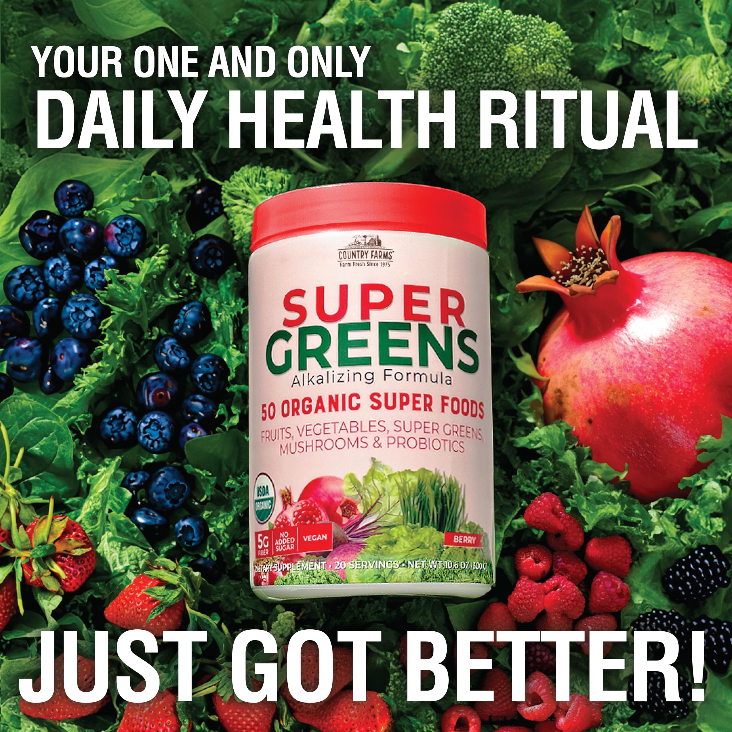 superfood blend for immune support