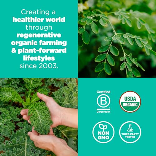 superfood blend for vibrant nutrition