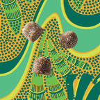 superfood gummies for energy boost