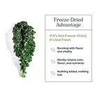 superfood kale powder for energy