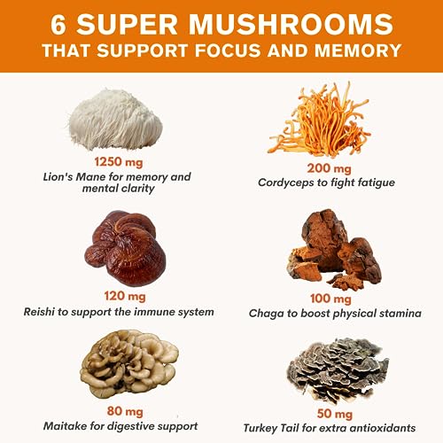 Superfood mushroom blend for brain health