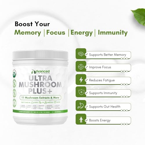 superfood mushroom blend for energy
