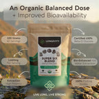 superfood mushroom blend for vitality