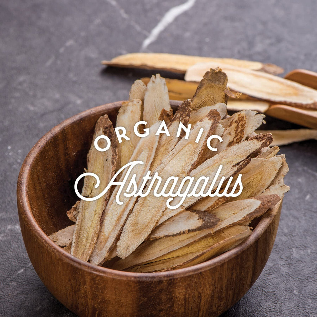 superfood mushroom blend for wellness