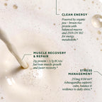 superfood mushroom blends for energy