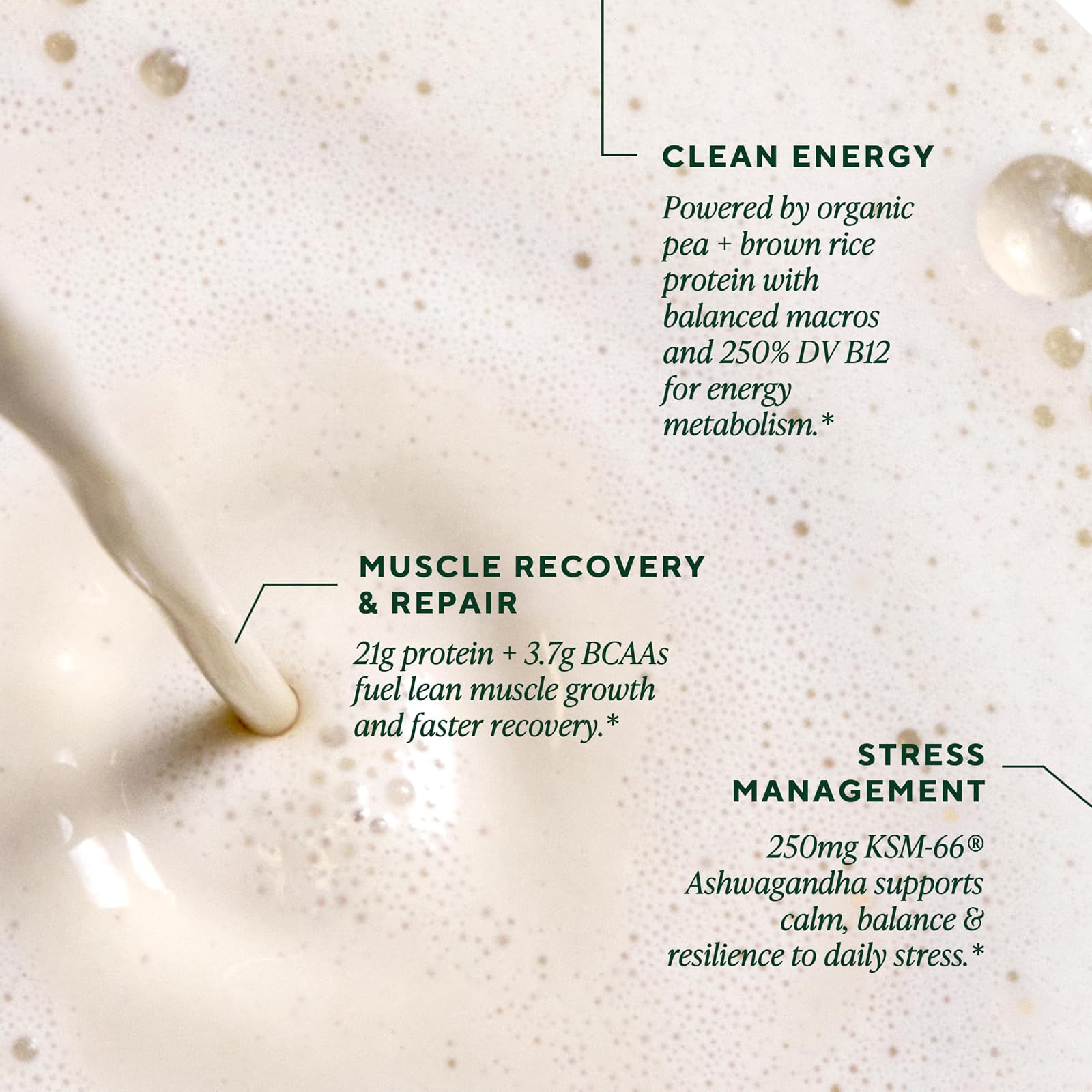 superfood mushroom blends for energy