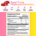 superfood mushroom gummies for energy