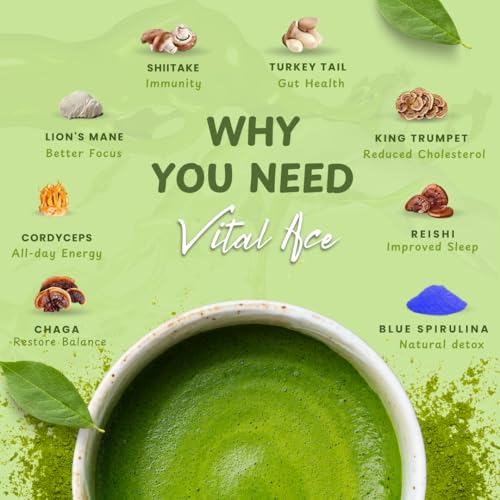superfood mushroom matcha powder