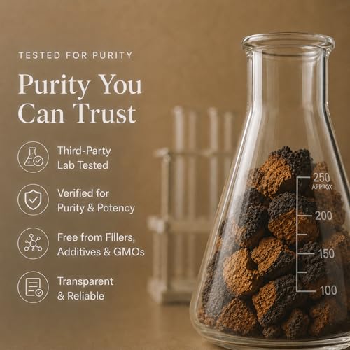 Superfood mushroom powder for athletes
