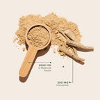 superfood mushroom powder for energy