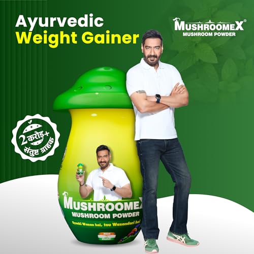 superfood mushroom powder for energy