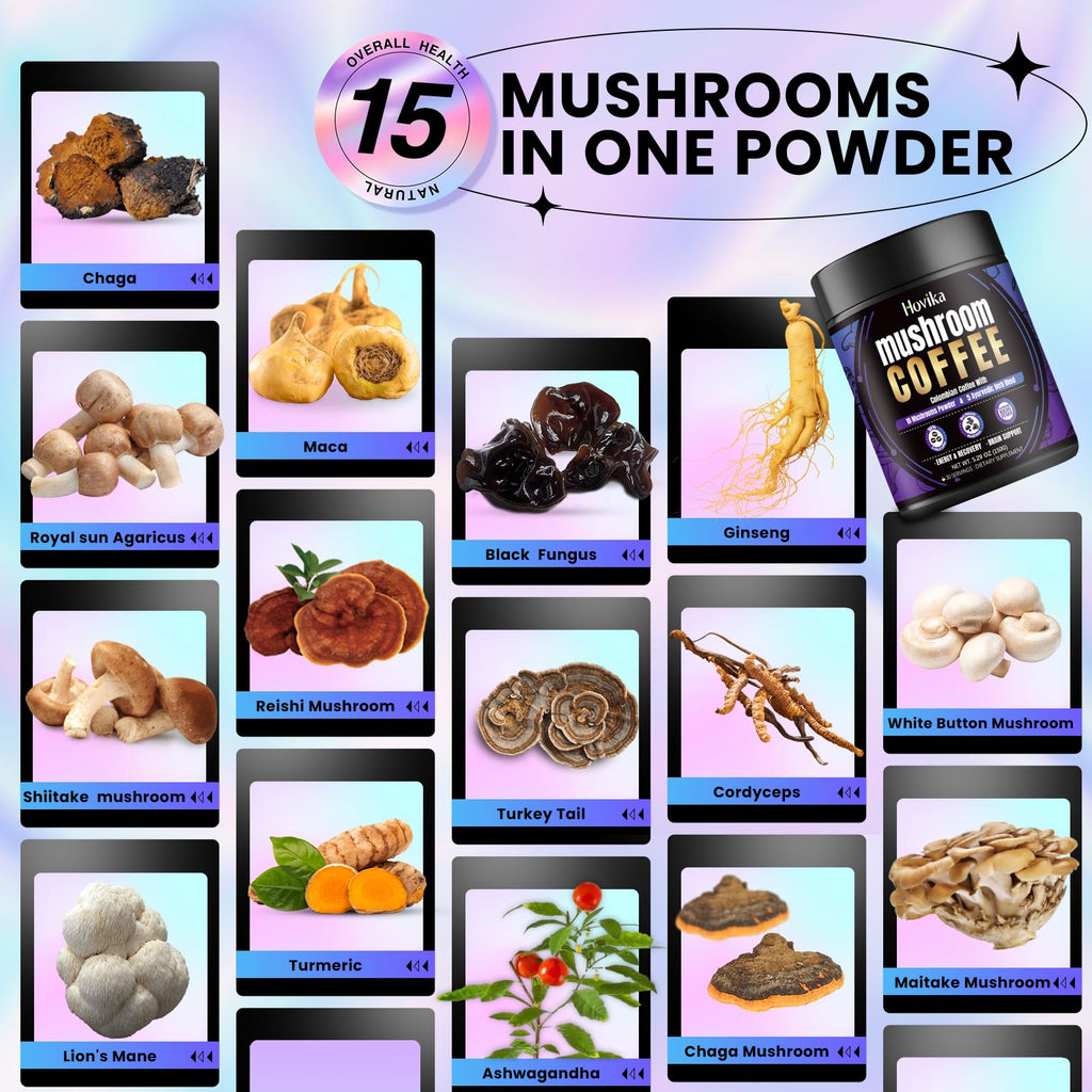 superfood mushrooms blend for wellness
