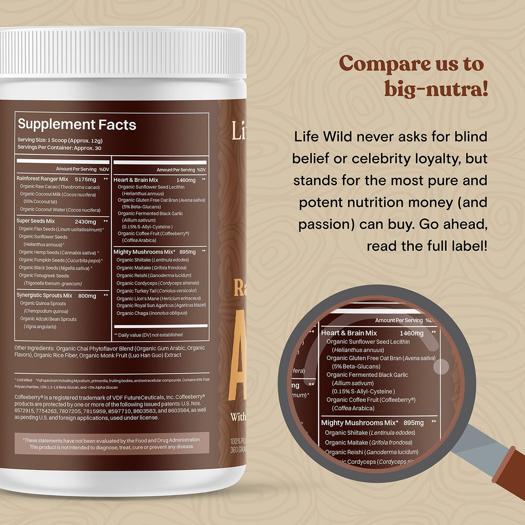 superfood mushrooms for active lifestyle