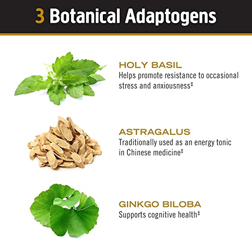 superfood mushrooms for better digestion
