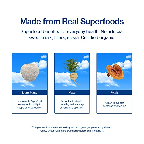 superfood mushrooms for daily wellness