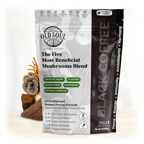 superfood mushrooms for energy
