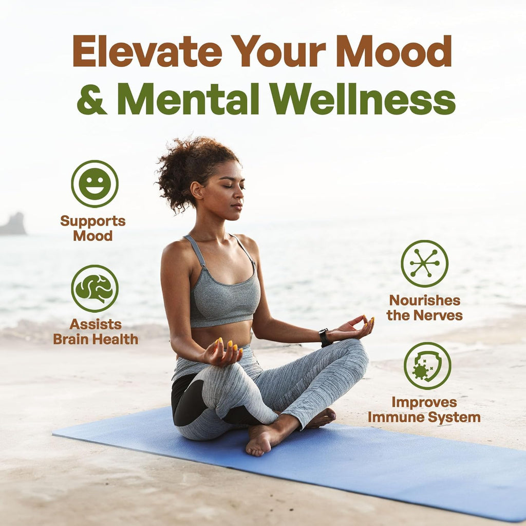 superfood mushrooms for memory support