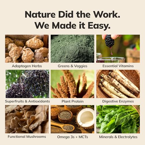 superfood-packed meal replacement drinks for wellness