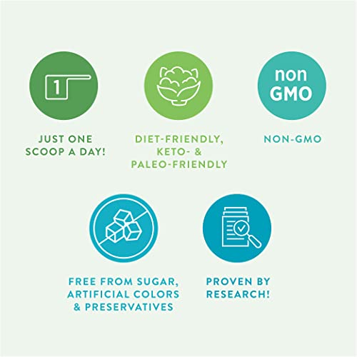 superfood powder for active lifestyles