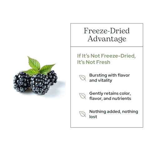 Superfood powder for active lifestyles