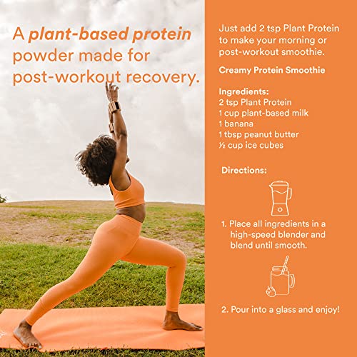 superfood powder for balanced nutrition