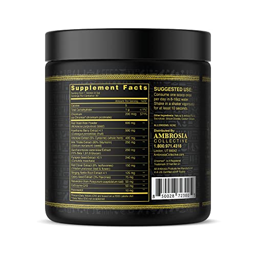 superfood powder for busy lifestyles