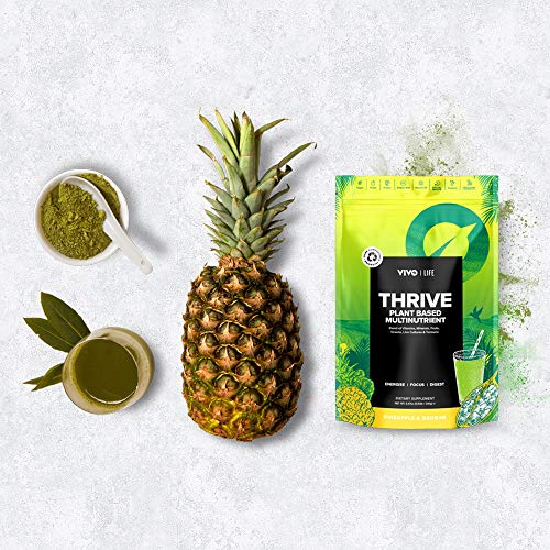 superfood powder for daily nutrition