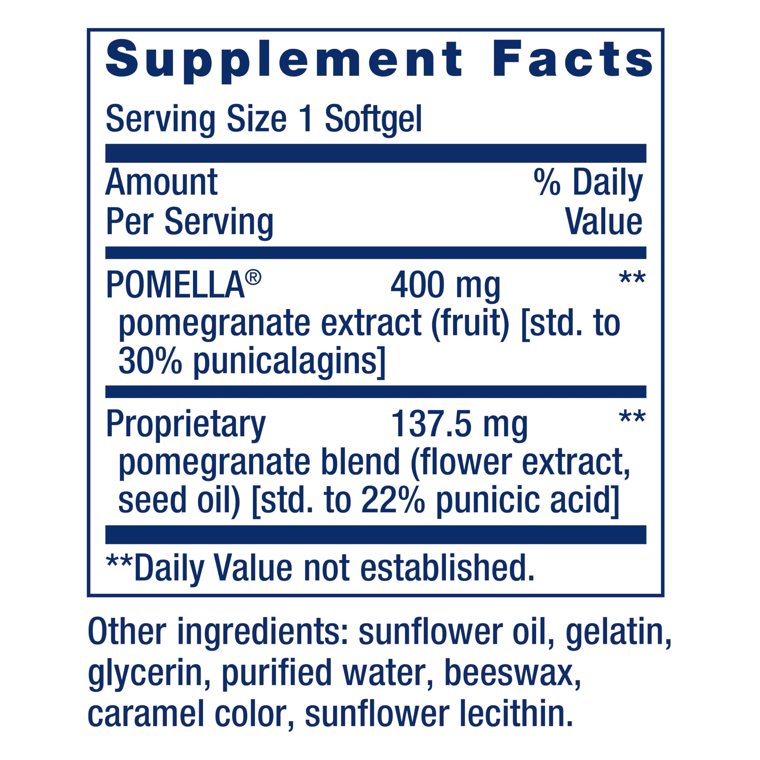 superfood supplement for daily wellness