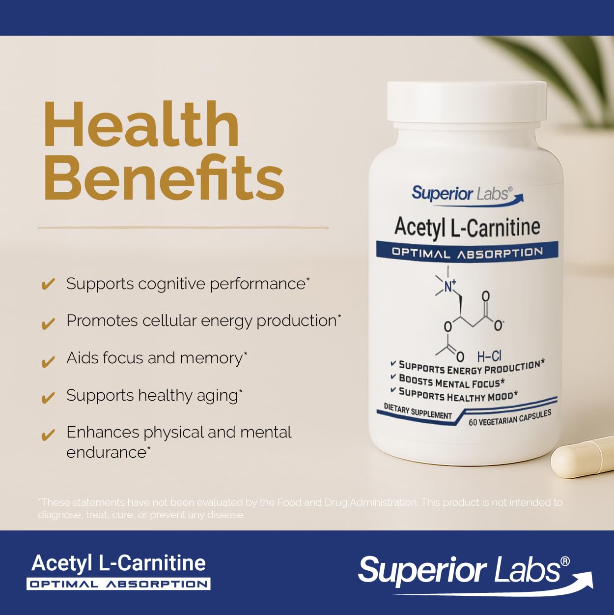 Superior Labs acetyl l-carnitine benefits